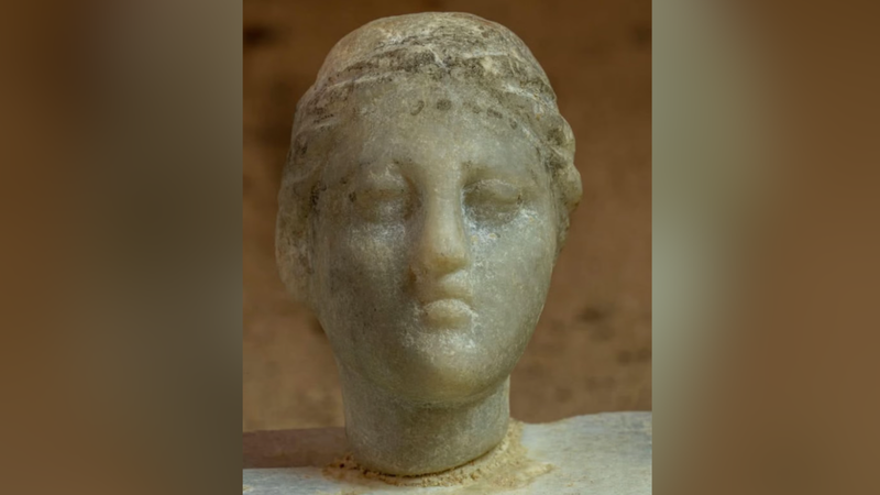 The Real Cleopatra Face How Pale Was Cleopatra's Skin? By Donald J.