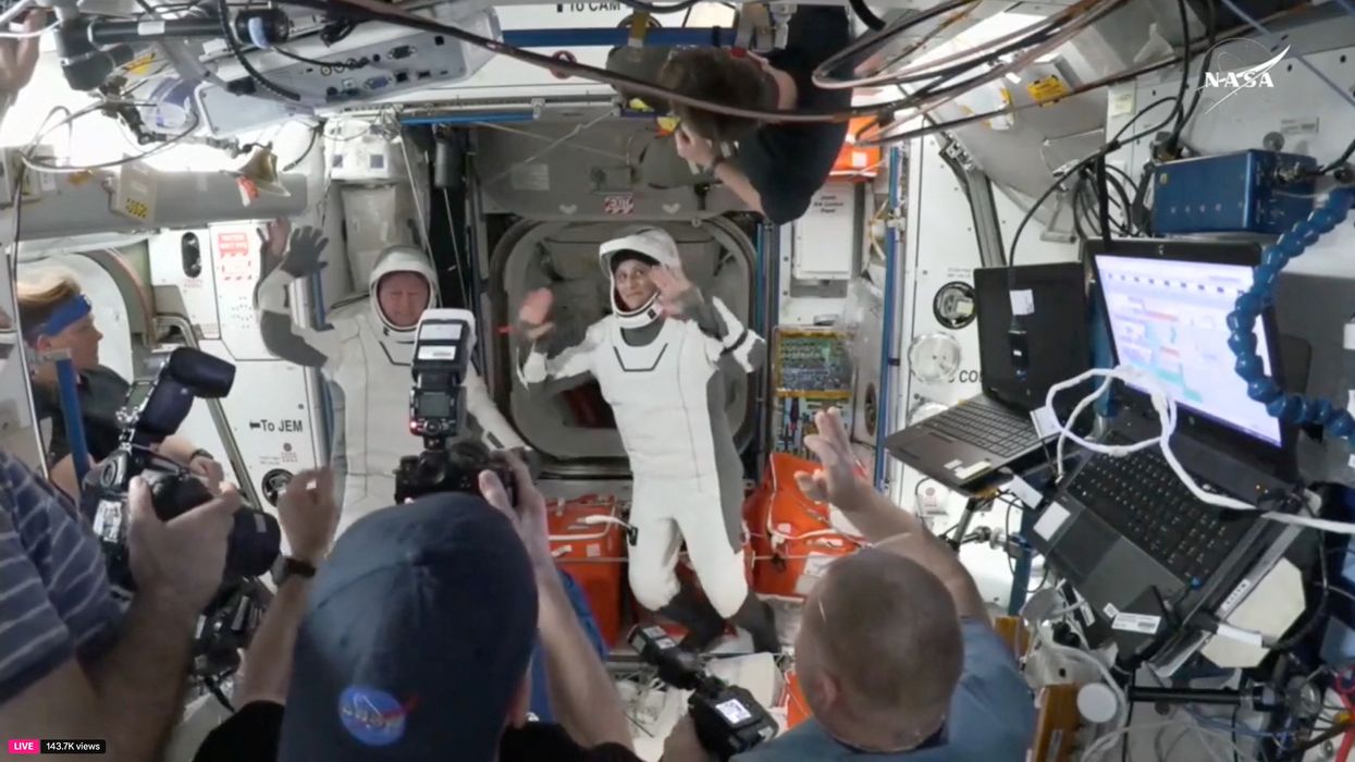 WATCH: Dolphins surround SpaceX capsule as Nasa astronauts return to Earth WATCH: Dolphins surround SpaceX capsule as Nasa astronauts return to Earth