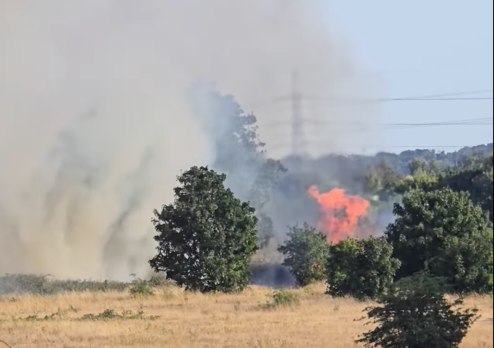 Dagenham fire: Huge blaze breaks out in London country park as ...