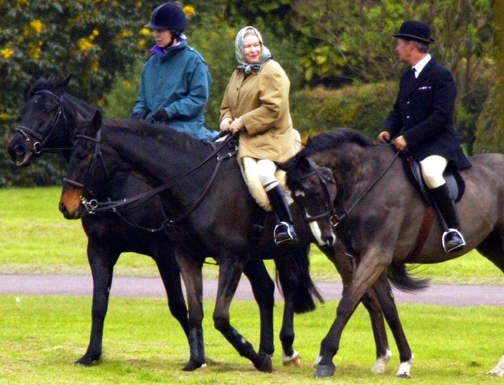 Queen Elizabeth II's love of horses remembered as MPs pay tribute