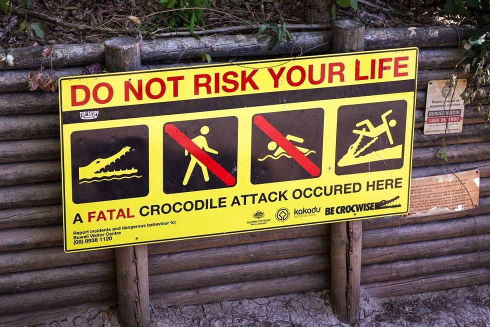Crocodile attack leaves child in critical condition after 'puncture wounds'