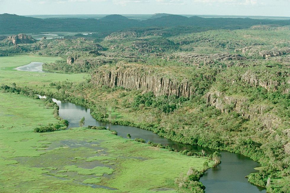 Crocodile attack leaves child in critical condition after 'puncture wounds'
