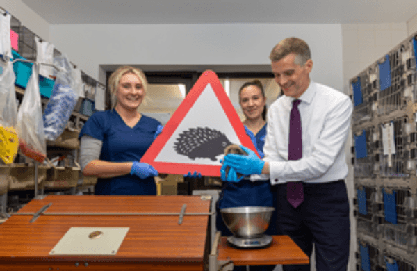 Seuss Road Signs Road Sign For "Oh, The Places You'll Go."