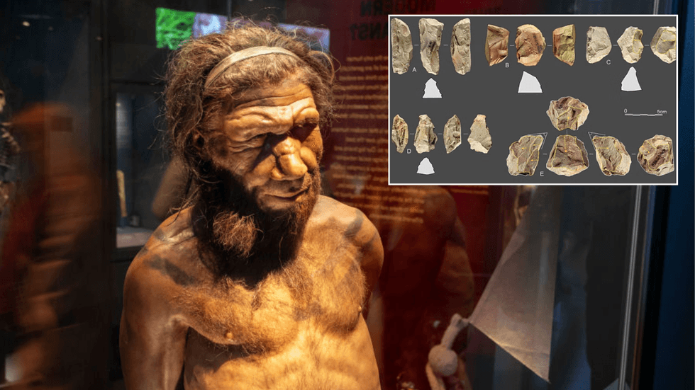 Neanderthals Tools