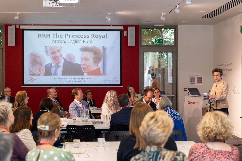 Princess Anne wades into politics with unprecedented statement