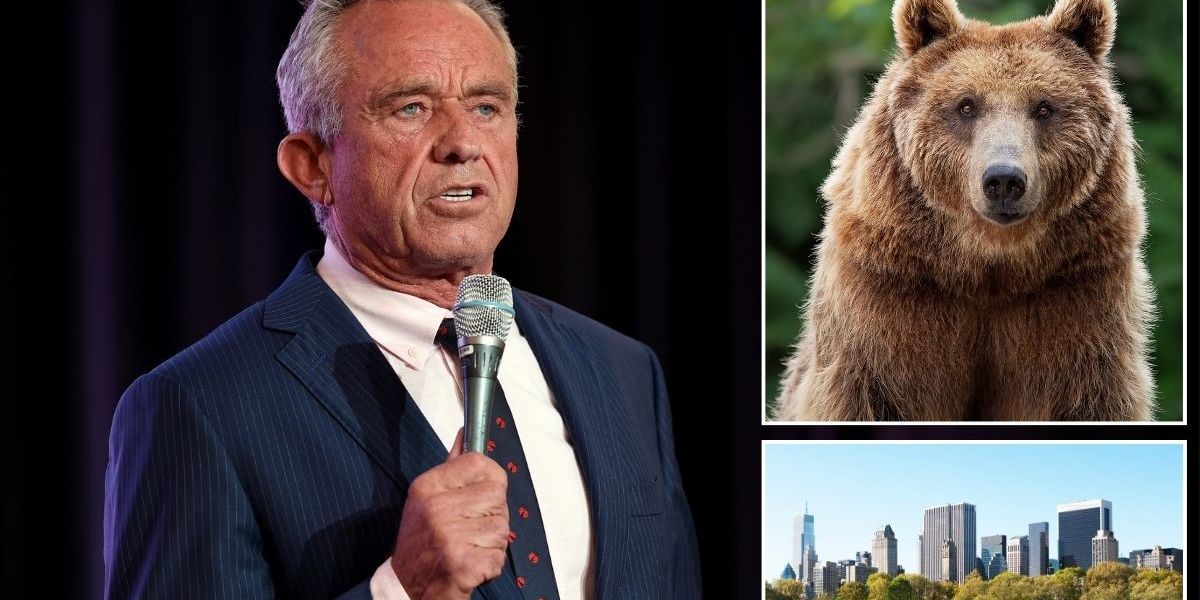 RFK Jr admits to dumping dead bear cub in Central Park in bizarre ... RFK Jr admits to dumping dead bear cub in Central Park in bizarre ...