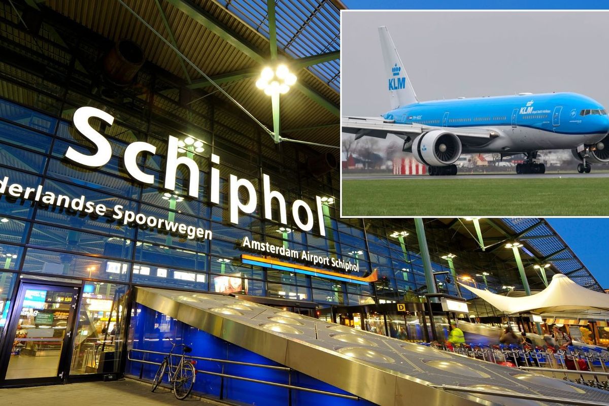 Amsterdam Airport Person Dies After Being Sucked Into Klm Plane