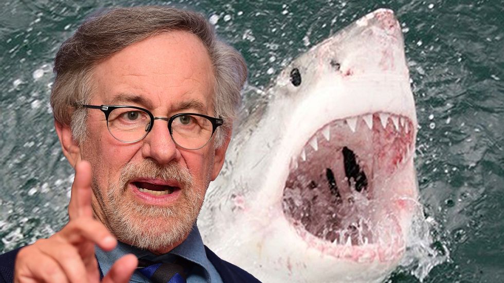 Steven Spielberg says he 'regrets’ DECIMATION of shark population after ... Steven Spielberg says he 'regrets’ DECIMATION of shark population after ...