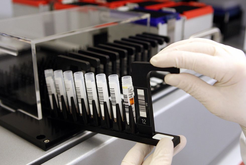 Swine flu is BACK: Deadly disease that infected 90 MILLION rampant ...