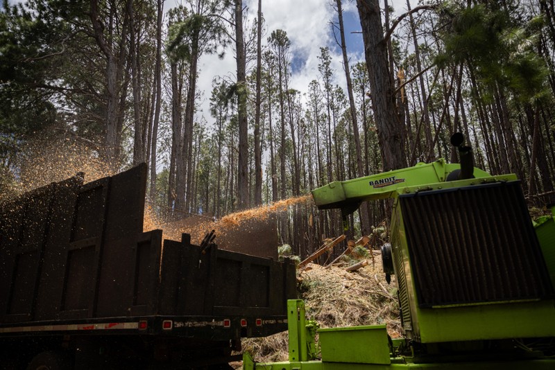 Landscaper Killed By Wood Chipper In Florida Cbs News Murder In The
